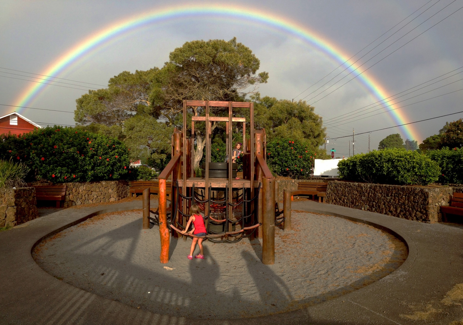 Top Hawaii Activities for Kids Near Kona, Hawai’i | Fair Wind Cruises