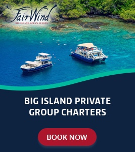 Is Your Sunscreen Reef Safe? | Fair Wind Cruises Blog